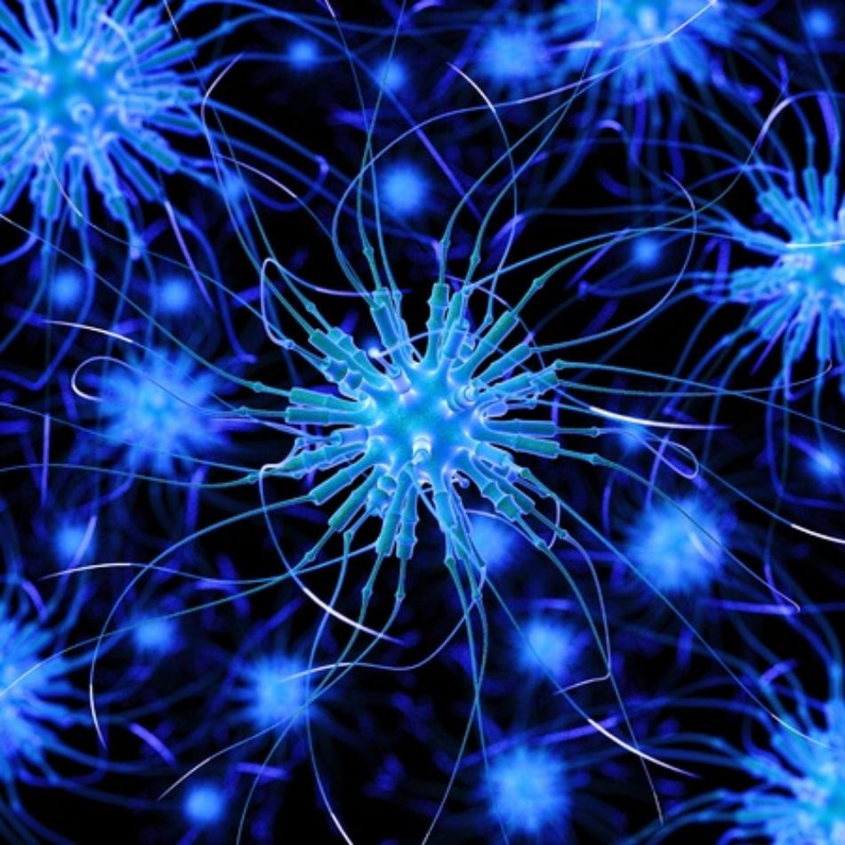 Immunology - MD Anderson Cancer Center UTHealth Graduate School of ...